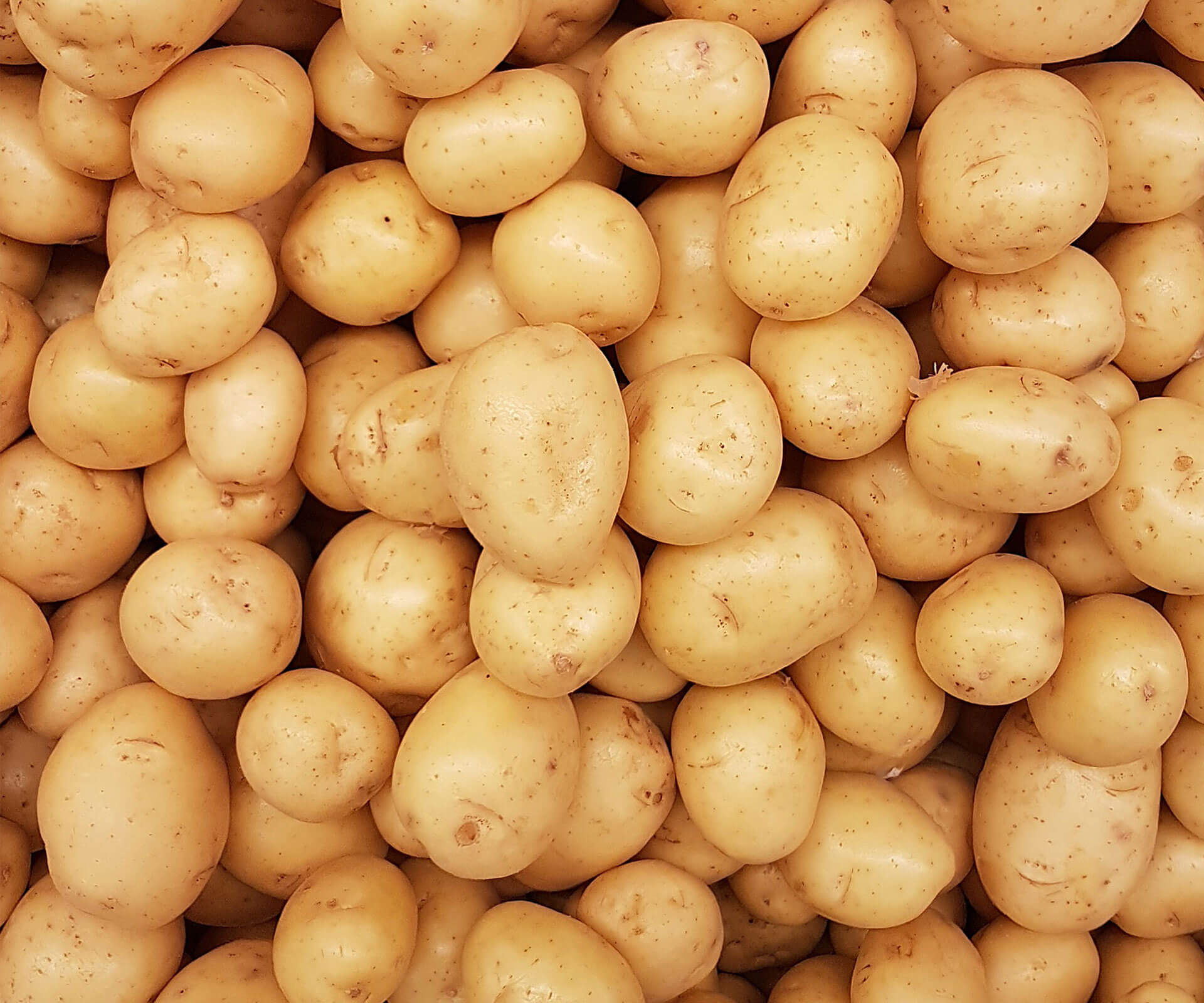 3 interessante weetjes voor jou als chef over aardappelen