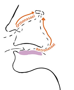 You can't argue about taste… Or can you? | Gastronomixs