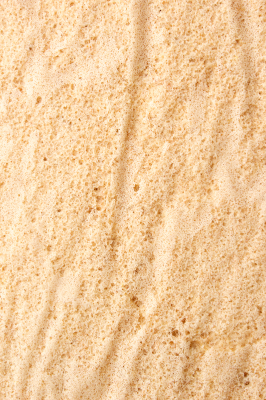 Duchesse Sponge | Gastronomixs