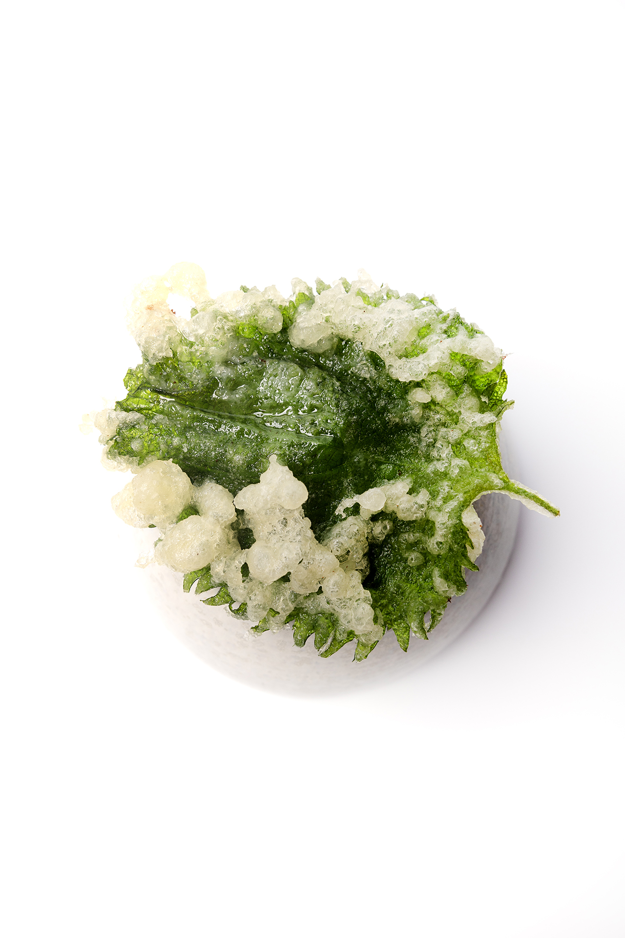 Shiso Leaf Tempura Gastronomixs