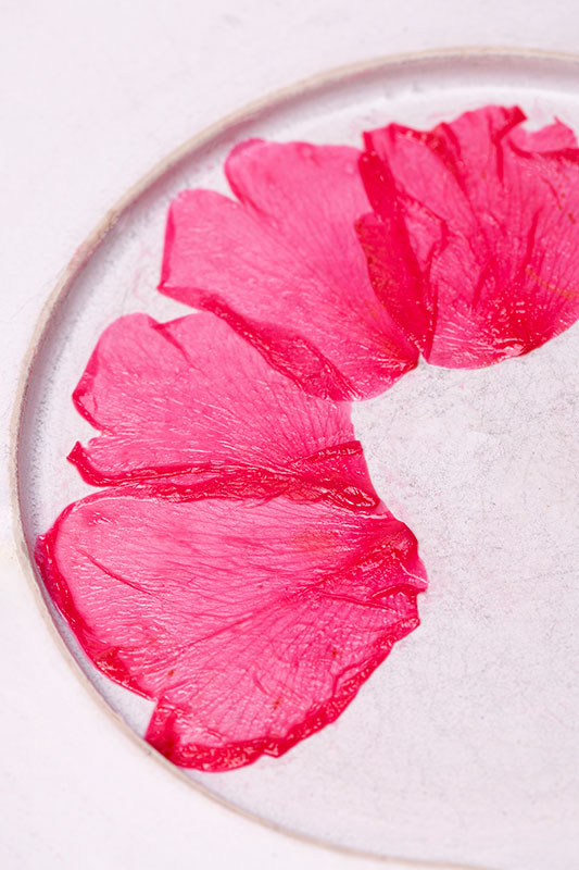 Rose Pickle | Gastronomixs