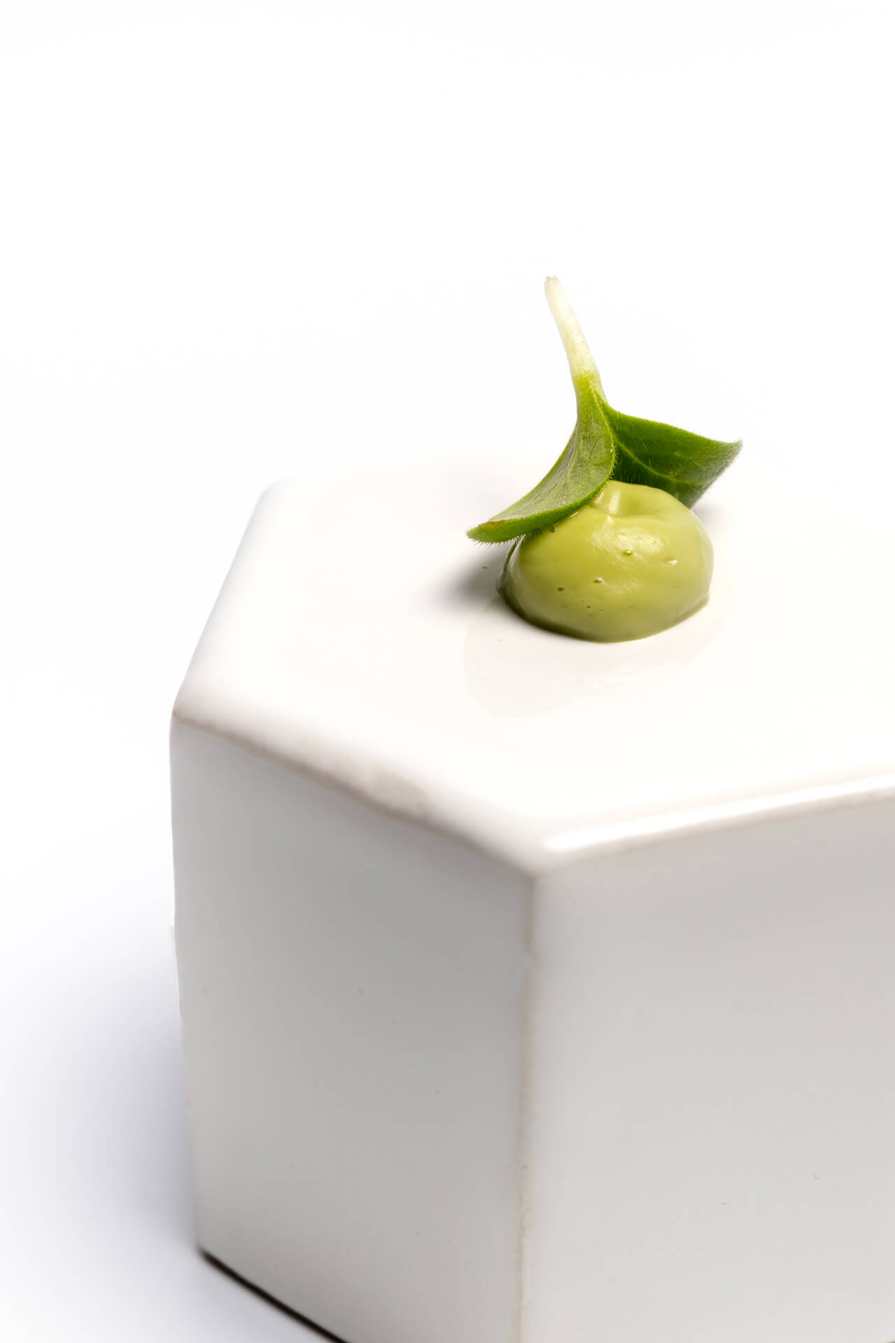 Koppert Cress | Gastronomixs