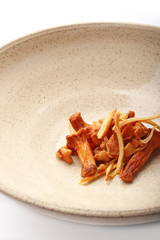 Fermented Mushrooms | Gastronomixs