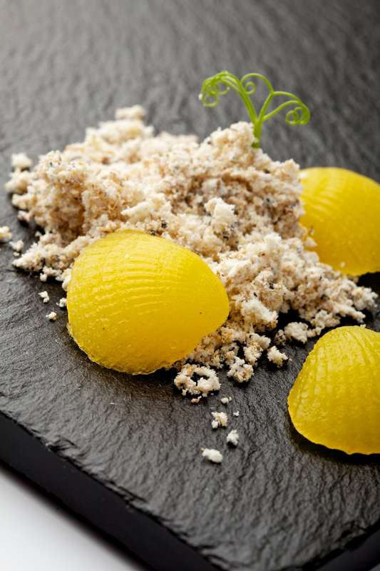 Lemon Shells | Gastronomixs
