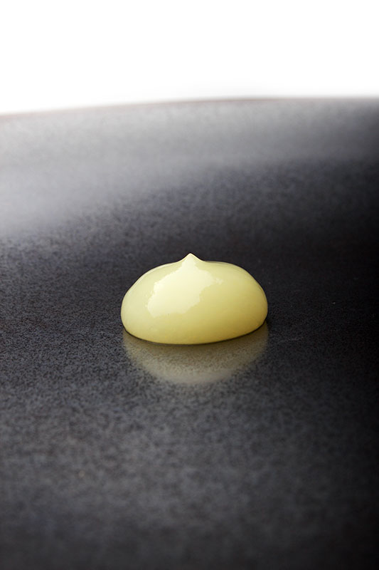 Gel of salted lemon | Gastronomixs