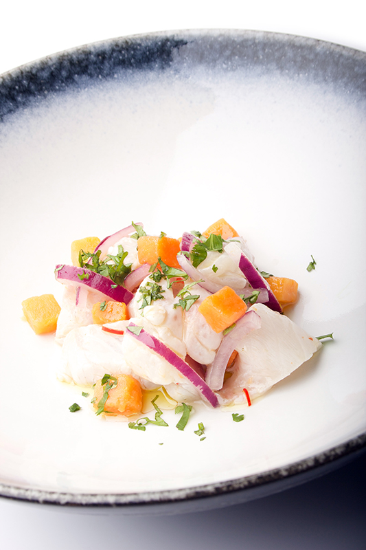 Ceviche Van Dorade | Gastronomixs