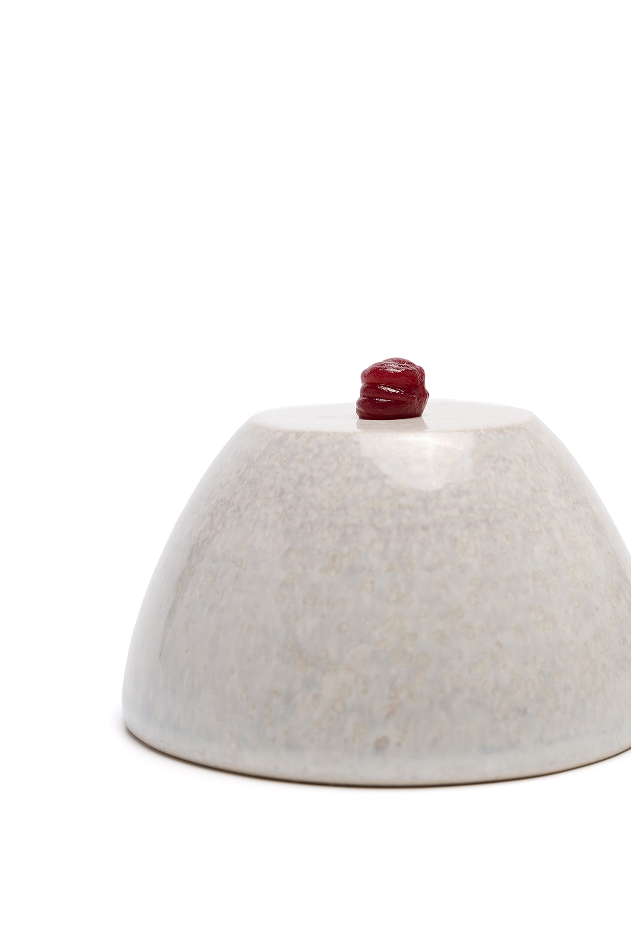 Raspberry gel | Gastronomixs