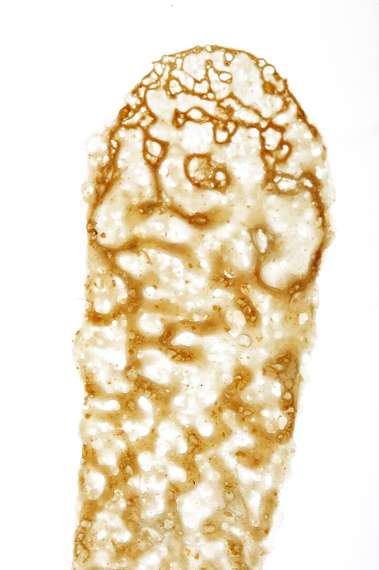 Wafers Of Chicken Skin | Gastronomixs