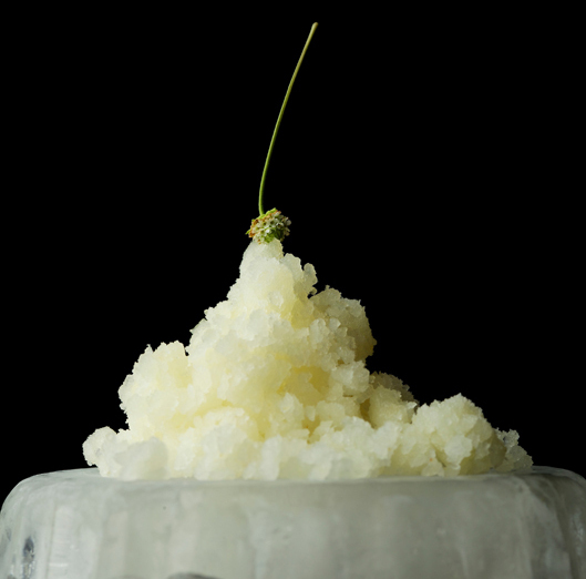 Celeriac And Vodka Granité | Gastronomixs