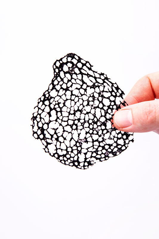Coral Tuile | Gastronomixs
