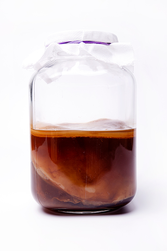 Coffee kombucha | Gastronomixs
