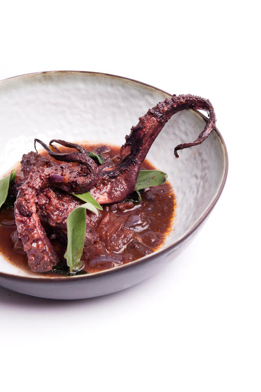 Octopus braised in tomato and red wine | Gastronomixs