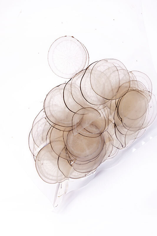 Rammenas in zoetzuur | Gastronomixs