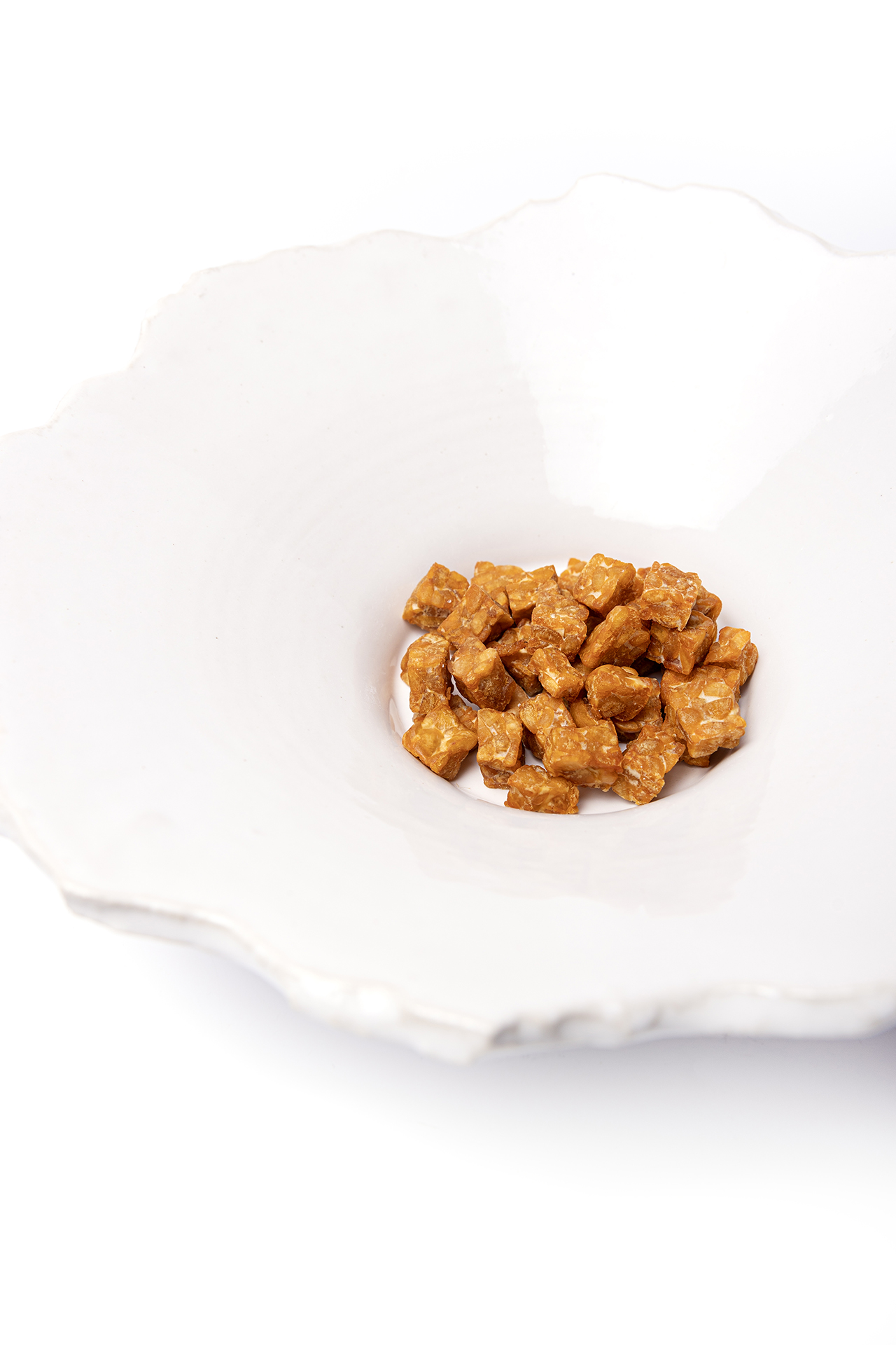 Crispy deep-fried tempeh | Gastronomixs