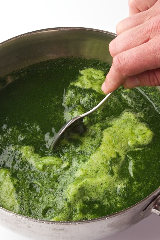 Spinach Chlorophyll | Gastronomixs