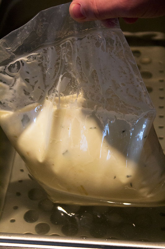 De Ultieme Vissaus | Gastronomixs