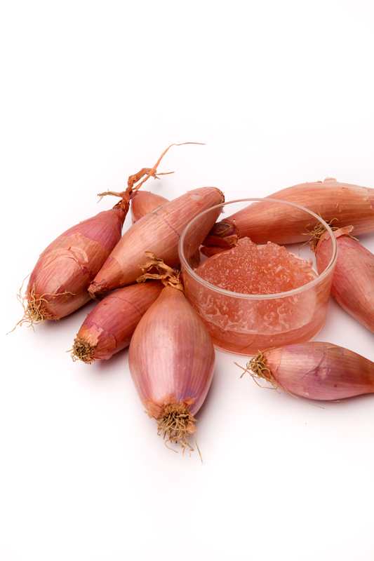 Caramelised sweet and sour shallot compote | Gastronomixs