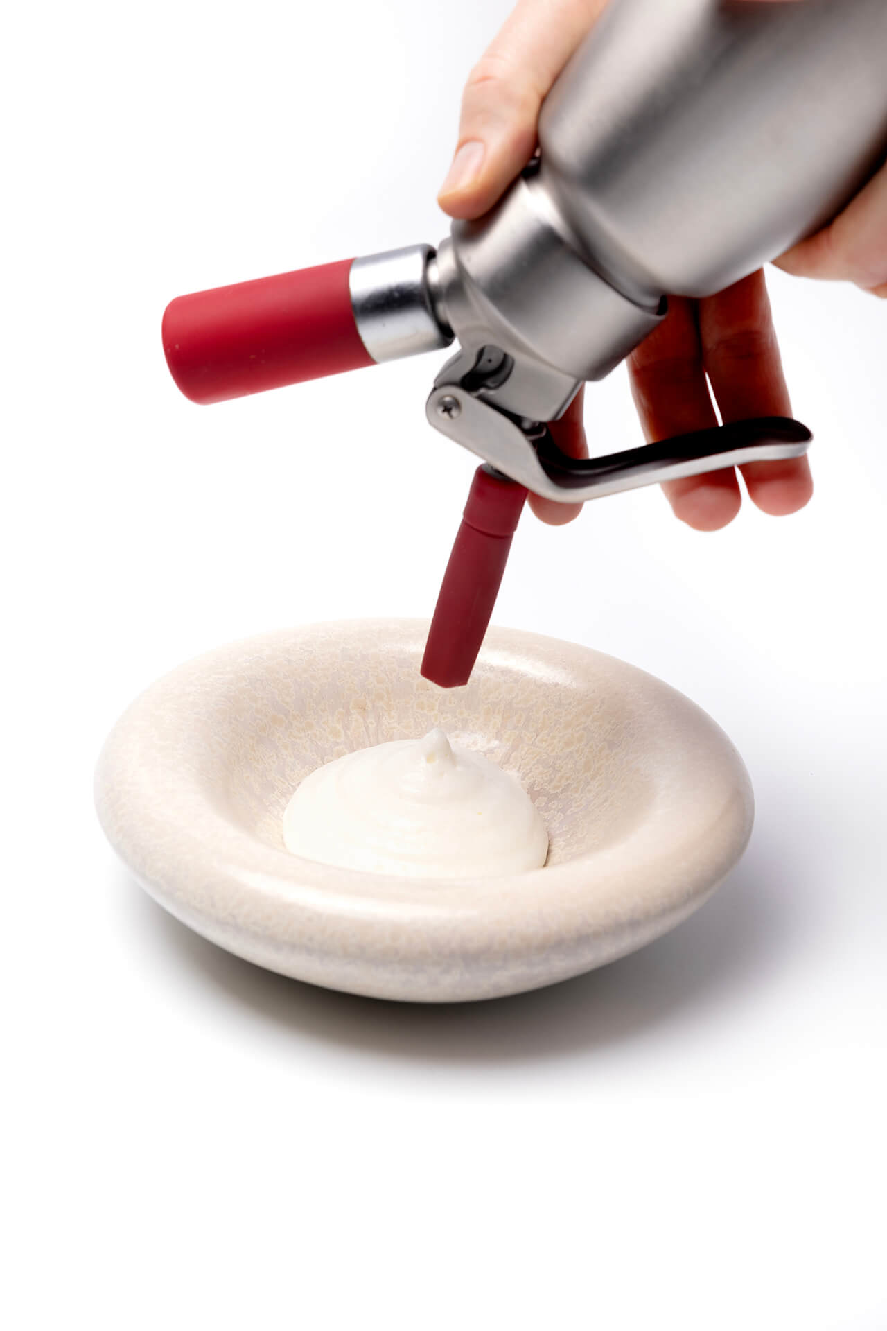 Cheesecake espuma | Gastronomixs