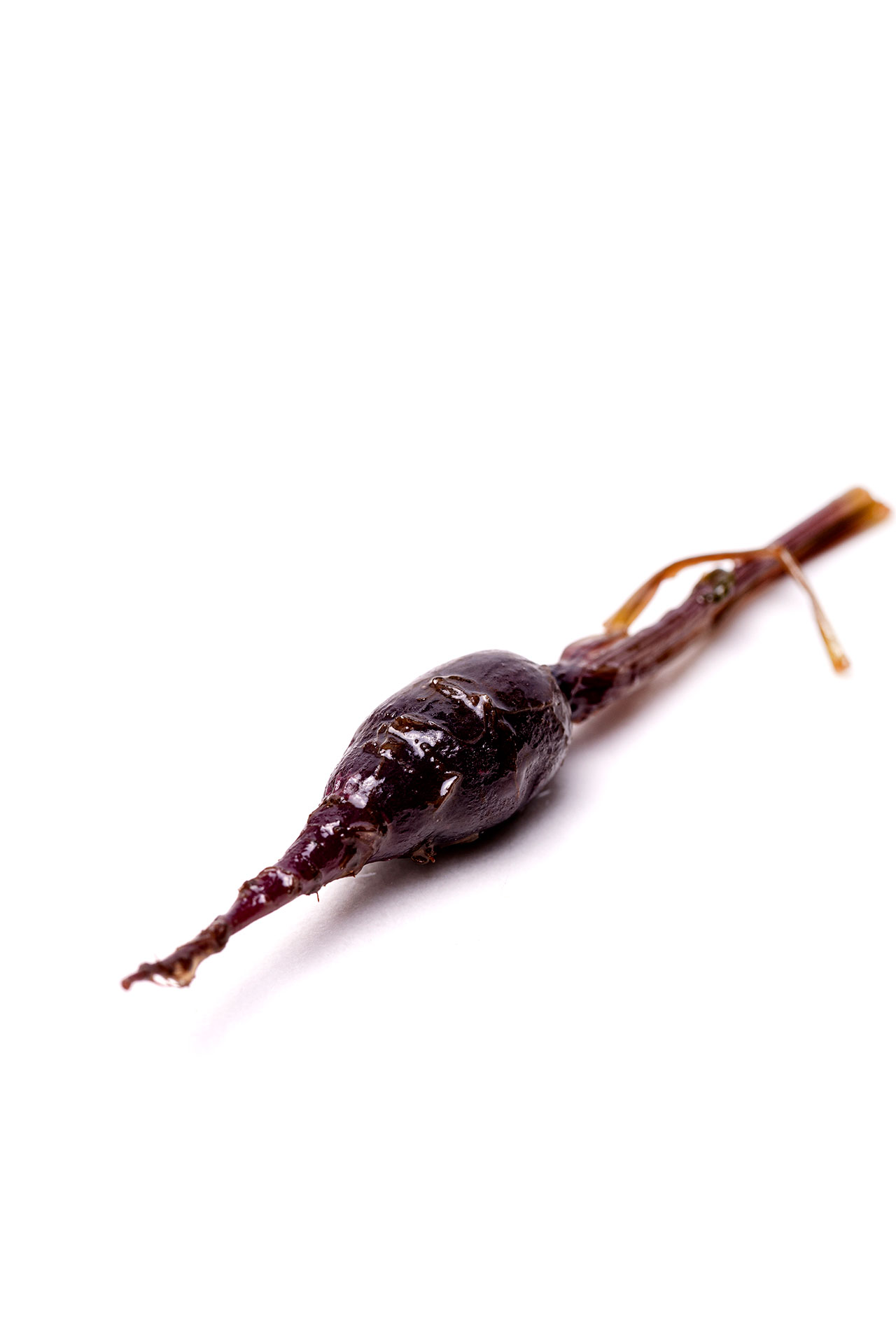Braised purple baby carrots | Gastronomixs