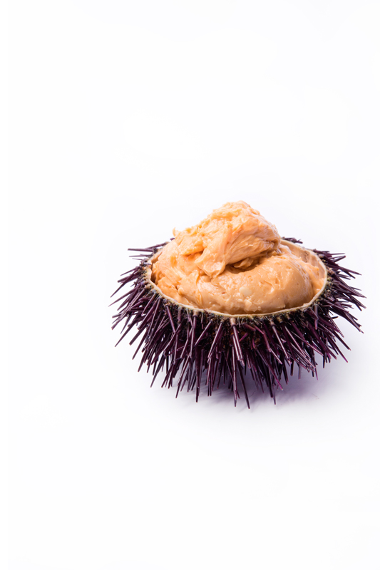 Zee-egel boter | Gastronomixs