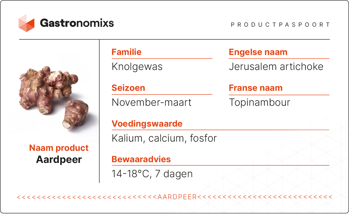 Aardpeer - Warenkennis | Gastronomixs | Inspiratie voor chefs