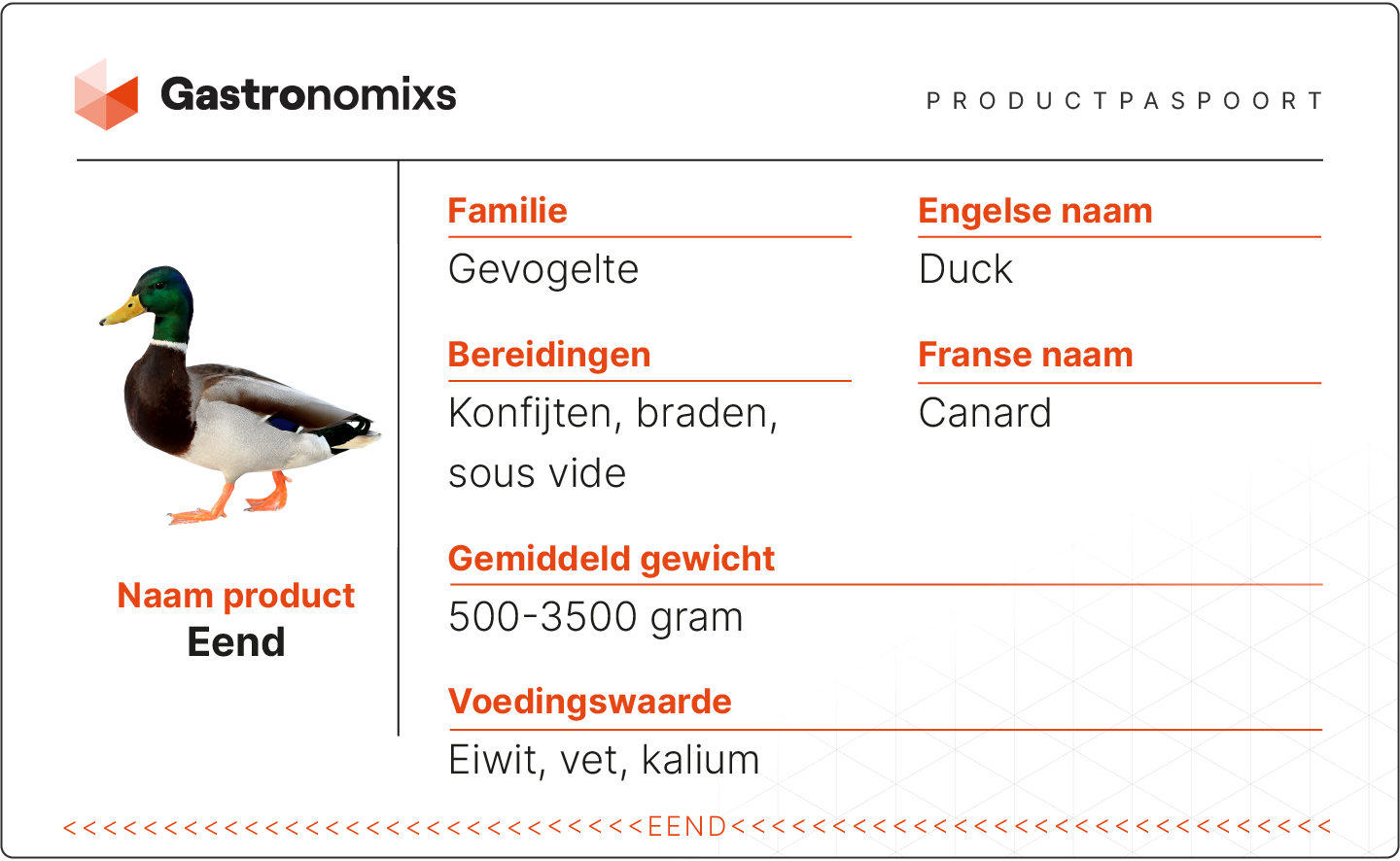 Eend - Warenkennis | Gastronomixs | Inspiratie voor chefs