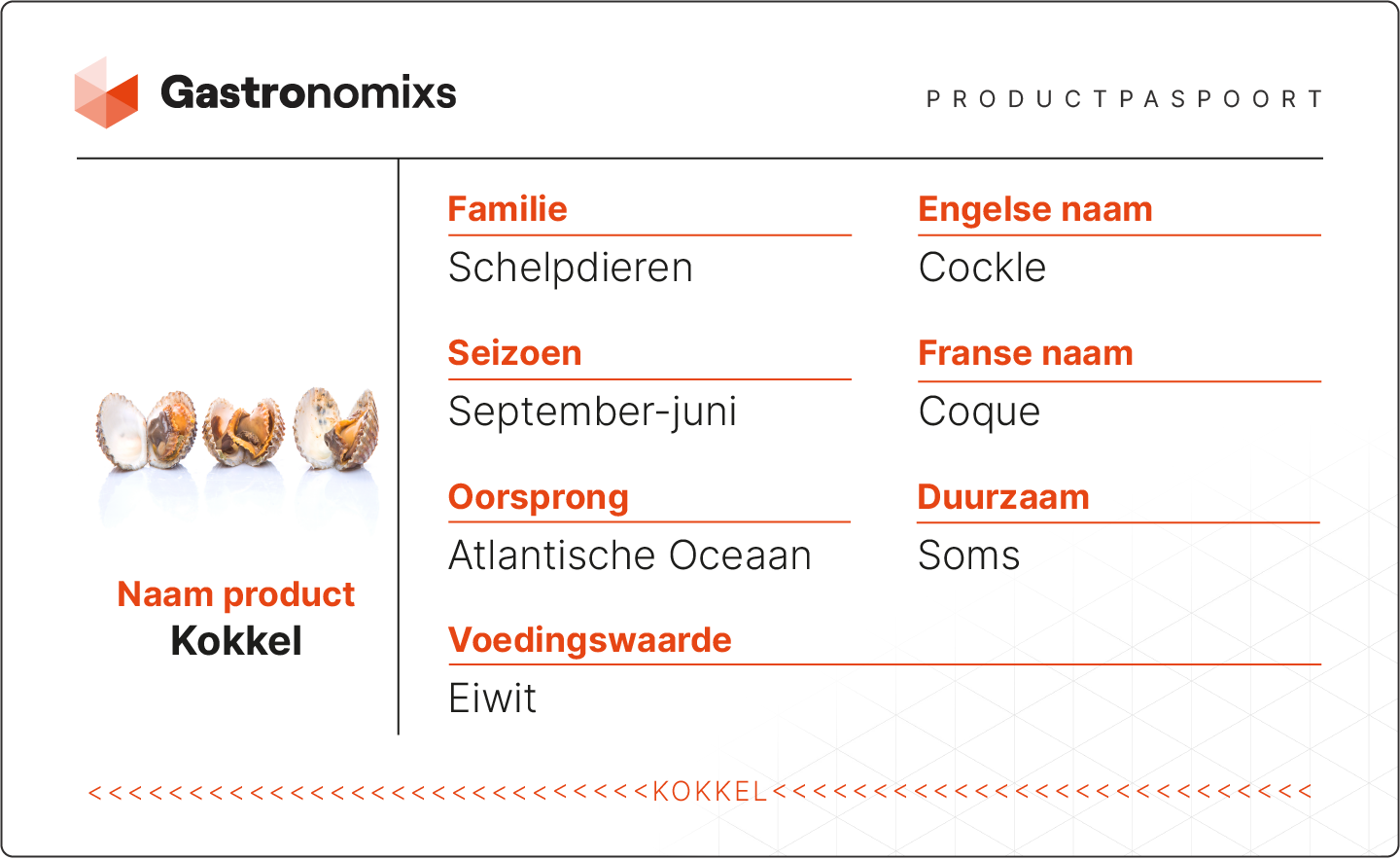 Kokkel - Warenkennis | Gastronomixs | Inspiratie voor chefs