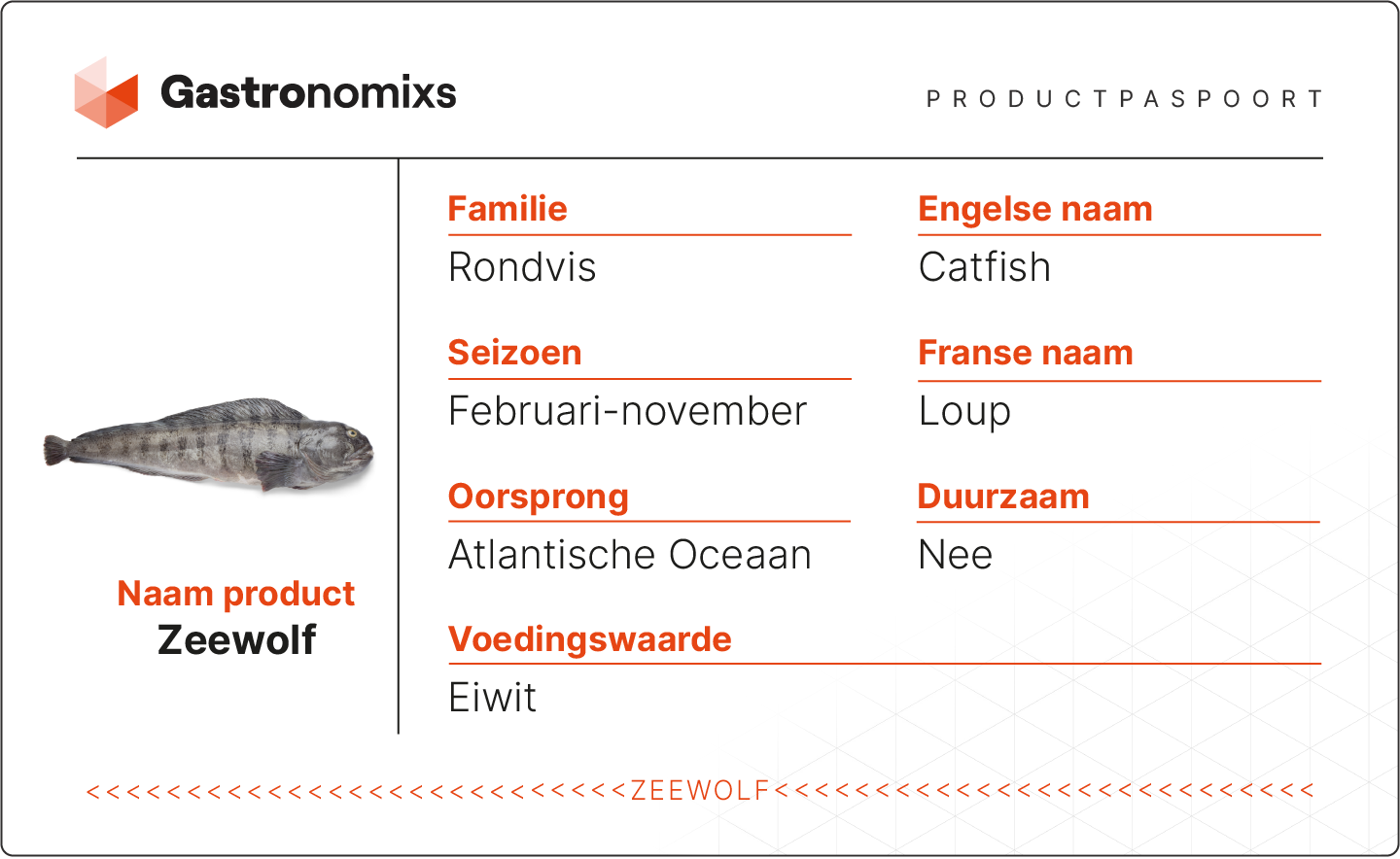 Zeewolf - Warenkennis | Gastronomixs | Inspiratie voor chefs